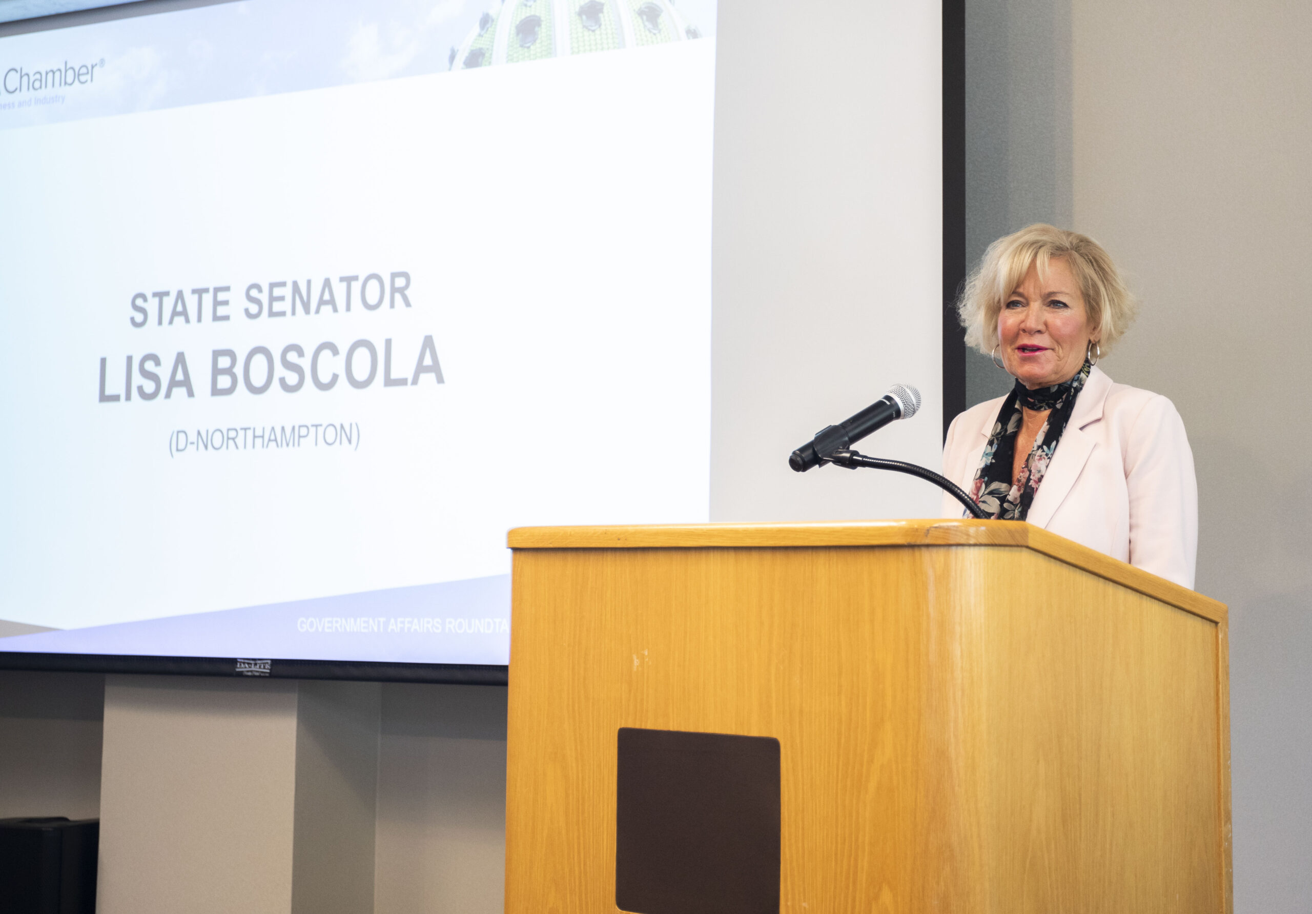 Senator Lisa M. Boscola Advocates for Bipartisanship and Business ...